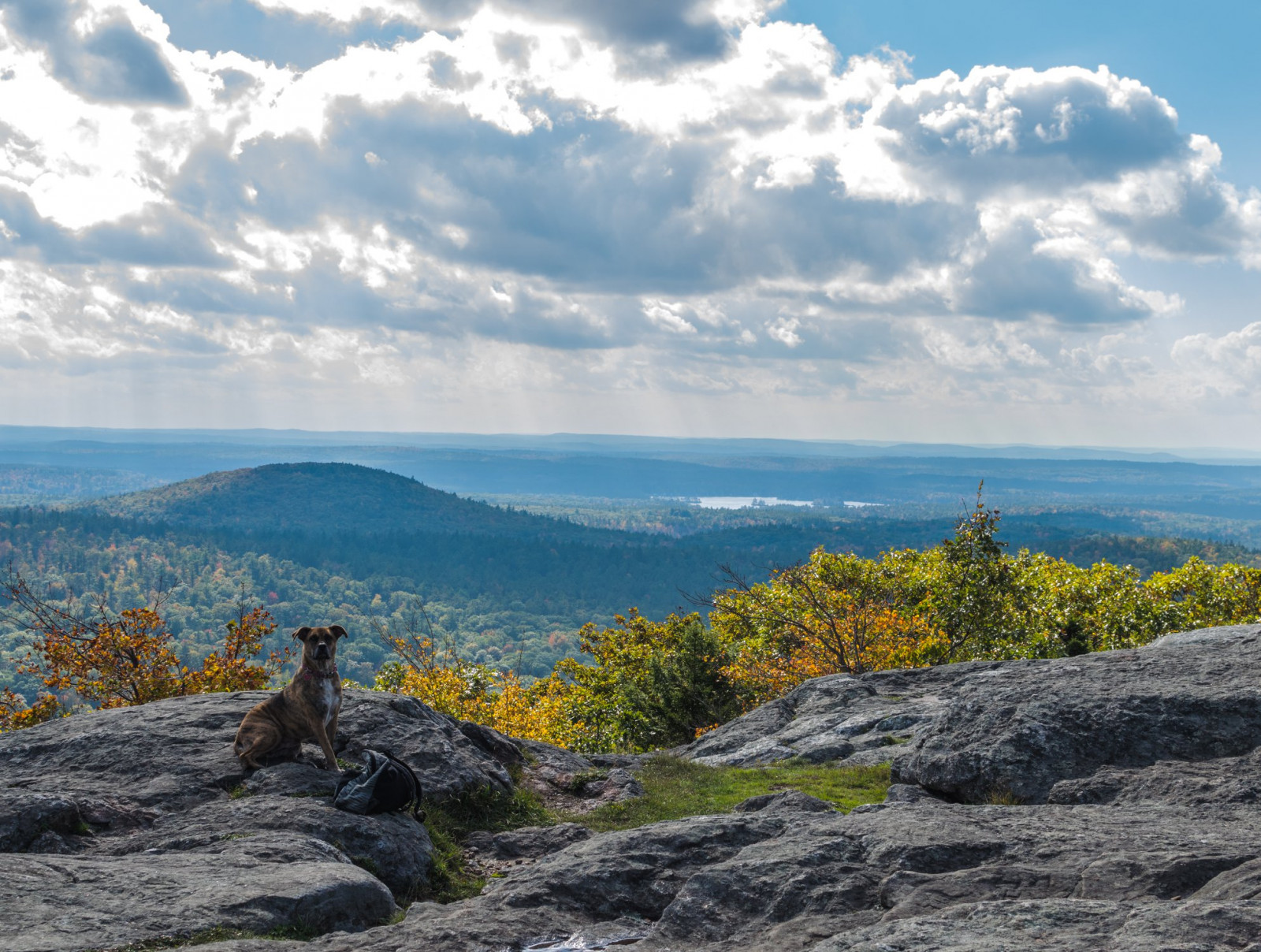 A Hiker’s Guide to Fall Color in North Central Massachusetts • Visit ...