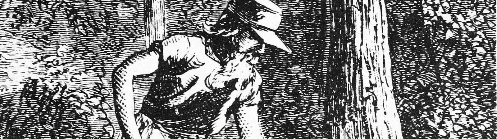 Johnny Appleseed: Where an American Legend’s Story Begins • Visit North ...