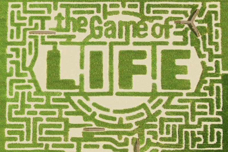 The Grand Opening of “The Game of Life” at Davis Mega Maze • Visit ...