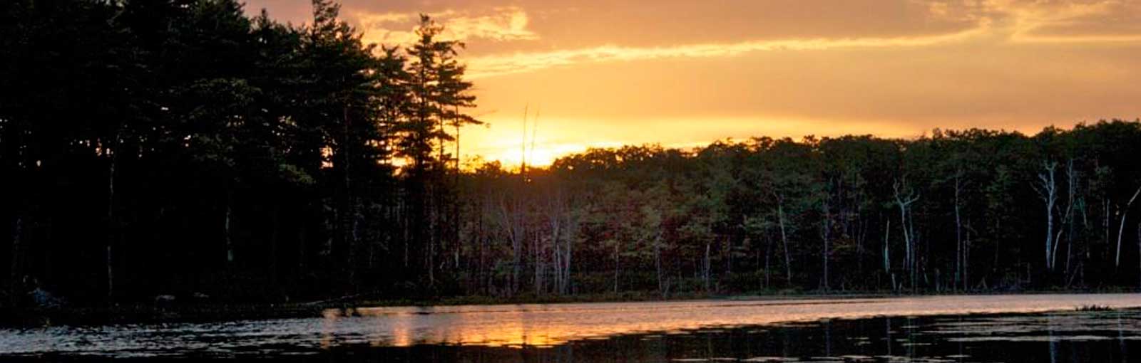 Midstate Trail Muddy Pond Westminster • Visit North Central